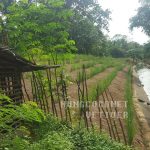 HUNG Coconet & HydroSeeding, Inc. – Using Nature to Heal the ...